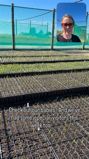 Nursery Life | Minimoor Nursery