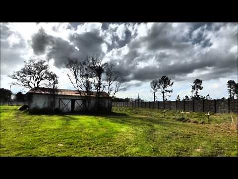 Panasonic Lumix DMC FZ70 13 Creative Video Modes