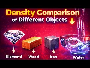 Density Comparison Of Different Objects | 3D COMPARISON