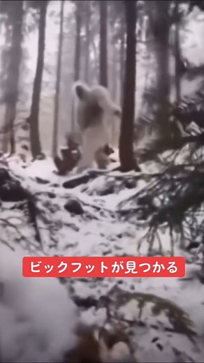 ABOMINABLE SNOWMAN OR YETI CAUGHT ON CAM | navsinta
