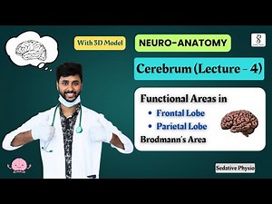 Functional Area of Cerebral Cortex | Frontal & Parietal Lobe | Cerebrum Anatomy | Neuroanatomy
