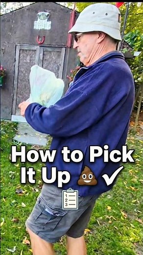 How to Pick Up Dog Poop (Apparently We Still Need This Tutorial)