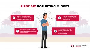 First Aid for Biting Midges