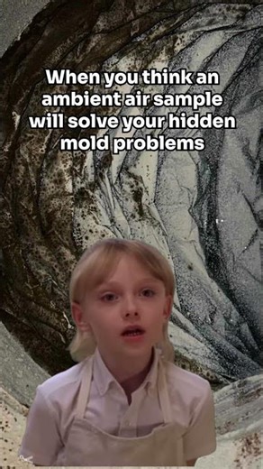 What is an ambient air sample?