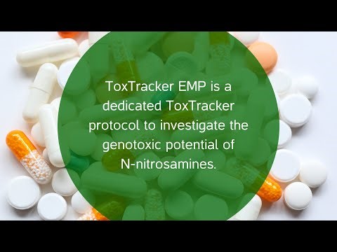 Genotoxicity Testing of N-nitrosamines with ToxTracker EMP (Enhanced Metabolization Protocol)
