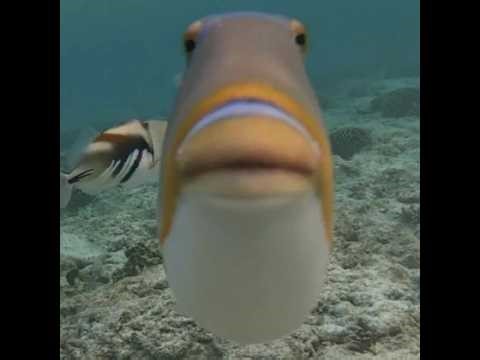 HELL TRILOGY COMPLETE | ''Aftermath'' 100% (Extreme Demon) by Exenity & More