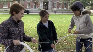 10K views · 176 reactions | Come one, come all to a carnival of...