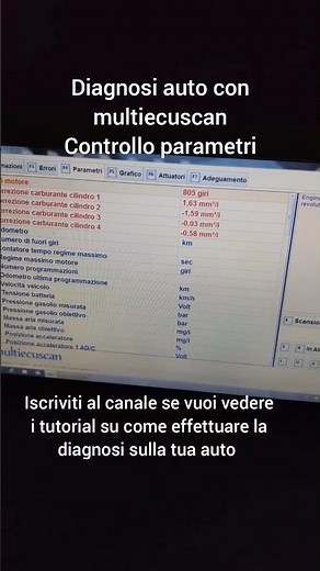 do it yourself car diagnosis multiecuscan parameters