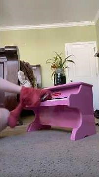 elmo world the bugs song