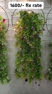 51K views · 595 reactions | #inbox to order Heavy hanging 1600/- fix rate 03243385982 | Areeba Zaid | Facebook