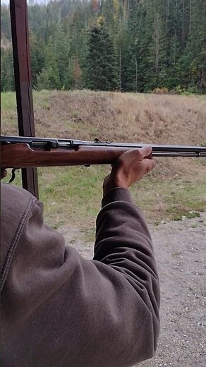 The Stevens 87A action in action