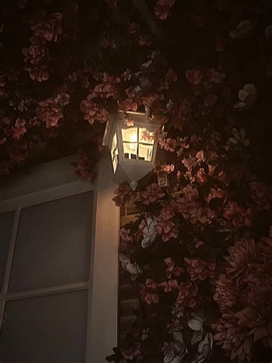 Aku yang berkali-kali merasa gagal, gagal menjadi seseorang yang dibanggakan. Seolah apa pun yang kupelajari, tak pernah cukup untuk disebut berhasil. Kenapa ya, peran yang kuperagakan selalu kurang bagi setiap orang? Padahal aku sudah menghabiskan letih, menyusutkan diri, mengganti topeng demi topeng agar pantas di mata mereka. _Gadis penelan luka. @𝒜𝓈𝒶 . . . . . . . . . . . .#katakata #diksi #fyp #tulisantangan #views