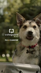Pick up your 💩. The Cologuard ® test is intended to screen adults 45 and older at average risk for colorectal cancer. Do not use a Cologuard test if you have had adenomas, have inflammatory bowel disease and certain hereditary syndromes, or a personal or family history of colorectal cancer. The Cologuard test is not a replacement for colonoscopy in high risk patients. Cologuard test performance in adults ages 45-49 is estimated based on a large clinical study of patients 50 and older. False pos