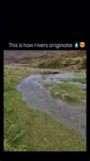 I am Rich | Most rivers don’t begin as a roaring flow — they start as a single spring. Deep underground, rainwater slowly seeps through soil and rock... | Instagram