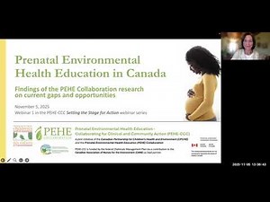 PEHE Collaboration research findings on currents gaps and opportunities (PEHE-CCC Webinar 1)