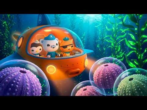 🌊 Octonauts: Sea Urchins Rescue Mission in Kelp Forest! 🐙
