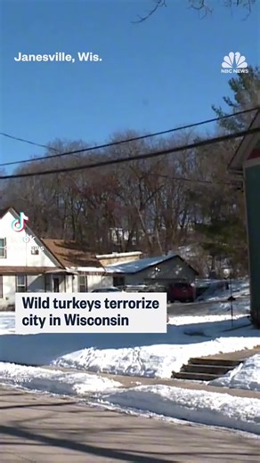 🤷🏾‍♂️ Problem solved 😆