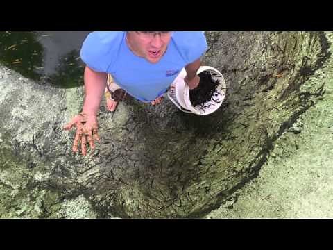 Hitting the Reset Button: How to drain and clean out your pool