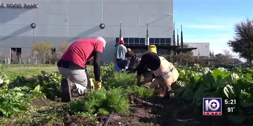Austin-based Central Texas Food Bank to open second location in Waco