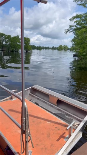 Experience the swamp and plan a visit this Spring Break! 🛥️ Book your Swamp Tour today!🐊 📱(337) 228-7880 🌐www.basinlanding.com Visit St. Martin Parish, Louisiana #TheAdventureYouCameFor #AtchafalayaBasinLandingSwampTour #HendersonLouisiana #AirboatTours #Acadiana Cajuns PartyPatio Weddings PartyTours VisitStMartinParishLouisiana PartiesOnTheSwamp LafayetteTravel LouisianaTravel OnlyLouisianaAtchafalaya | Atchafalaya Basin Landing & Swamp Tours