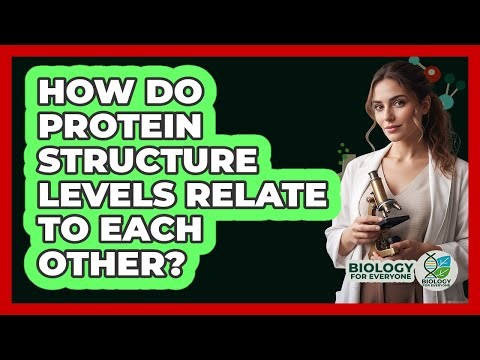 How Do Protein Structure Levels Relate To Each Other? - Biology For Everyone