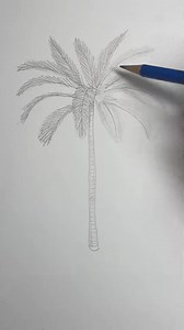 Draw a realistic palm tree 🌴 Easy drawing lesson for beginner artists... #drawinglesson #howtodraw #drawing #drawingtutorial #drawingsketch #drawingart #drawingchallenge #art #artwork #artoftheday #artistic #sketch #sketching #sketchcomedy #laviarts #girldrawng #art #fblifestyle | Mark Liam Smith