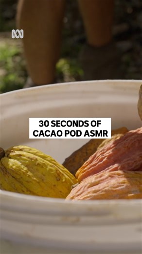 24K views · 137 reactions | Treat your ears  Dr Karl’s How Things Work — Stream all episodes now on ABC iview: https://ab.co/DrKarlHowThingsWork #Chocolate #Cacao #HowThingsWork | ABC Science | Facebook