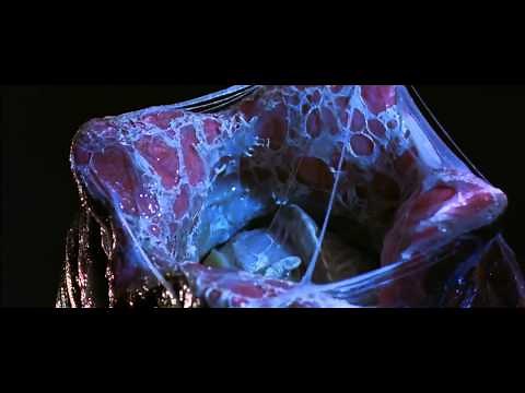 AVP Alien vs Predator 2004 official trailer HD