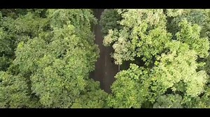 DHANSIRI CYCLE CLUB.. 💚 First Official Ride To Nambor Wildlife Sanctuary..💚 Dhansiri CYCLE CLUB #cyclist #gogreen💚 #namborwildlifesanctuary Cinematography.. Uttam Kalita Aerial Cinematography.. Arnab Hazarika Editing.. Mouchum Borah Logo Design.. samalay https://youtu.be/xt_u_3JyroE | Achurjya Borpatra