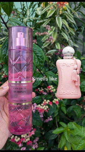 Mix, match,and layering combos are available. Create your own signature scent to match your personality and lifestyle. Explore different scents without breaking the bank. The bundle includes: ✨Covered in Rose which smells like Delina. ✨Pink Obsession which smells like Valentino born in Roma ✨Infinite Radiance which is inspired by Valaya. All fragances are inspires by luxury brands. Get one 10ml decant of each fragrance (three fragrances in total) for $35. Take charge, be creative, and explore.❤ 