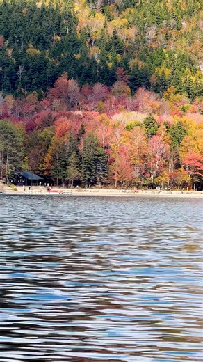 Foliage at Franconia Notch State Park #lincolnnh #fall #foliage #nh | Stephen Rideout