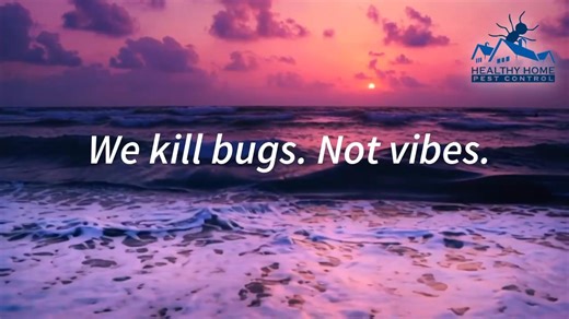 ✨ We kill bugs, not vibes ✨ Because nothing ruins a Florida weekend faster than ants at the cookout or roaches on the patio  Keep your home pest-free and your energy high — call the local pros your neighbors trust with 295+ 5-star reviews ⭐  239-319-3929  www.healthyhomepestcontrol.biz  Cape Coral • Fort Myers • Lee County #WeKillBugsNotVibes #HealthyHomePestControl #CapeCoral #SupportLocal #PestFreeVibes | Healthy Home Pest Control Inc | Facebook