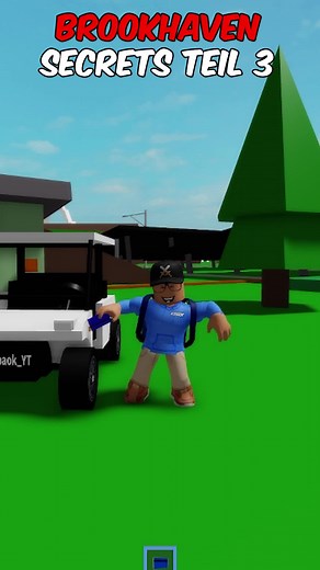 Brookhaven Secrets Part 3 #BrookhavenSecrets #Brookhaven #Roblox #TeamAbbaok