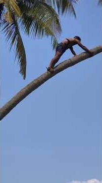 🌴😱The most carefully climbable tree is the curved coconut tree#tamil#shortvideo#villagelife#amazing