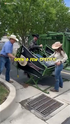 See The Surprising Calf Procedure Unfolding In America