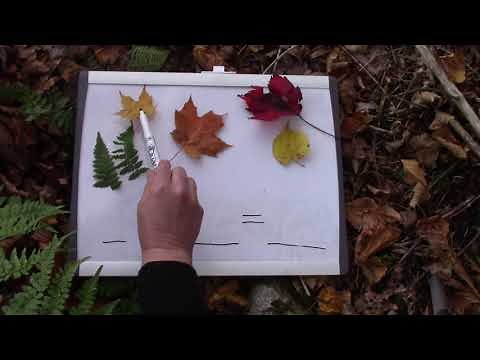 Grade 1: Math Lesson #33 Writing Subtraction Number Sentences