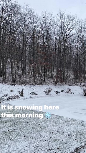 19K views · 1K reactions | Our first little snowfall!❄️ | The Crafty Decorator | Facebook