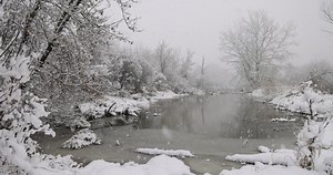 Winter Landscape Snowing 4k Slomo 库存影片视频（100% 免版税）1085801603 | Shutterstock