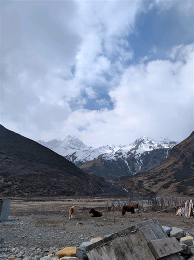 Ama stands with eyes full of tears, watching her daughter disappear into the mountains, while Norbu the cat curls closer. And smiling for the camera because sometimes strength is pretending to be fine. #anthropologybhutan #Lingzhi #catlover
