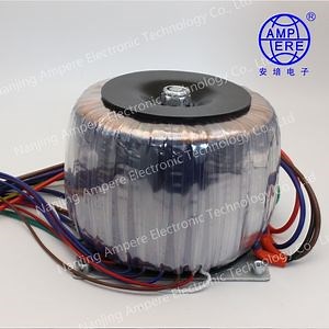 [Hot Item] Multi Winding Low Frequency Iron Core Audio Toroidal Transformer