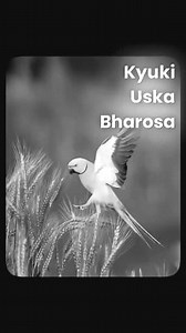 Day-_71__life_mistakes__🎧 #reelschallengereelschallenge_ #viralreelschallengemarketin #ankitpeg #challengechallengetodayaaatodaystoday #viralreelsfacebook_ #FacebookReelsContest #entrepreneurmindsetthinking #viralfacebookreels #bestchallenge_ #shortsreels #ChallengeAccepted #minivlog #FacebookPage #followme #mindsetshift._._marketing,_business,_knowledge,_money,_branding,_time,_entrepreneur,_SelfDevelopment_,_Personal_Brand,_Mindset,_Pr | Ankit