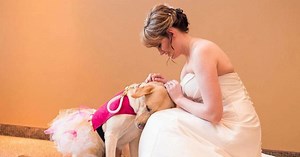 Photo of service dog, bride goes viral
