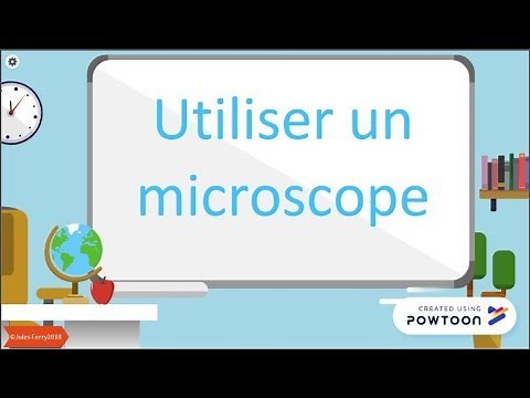 SVT TP # 1 - Utiliser un microscope