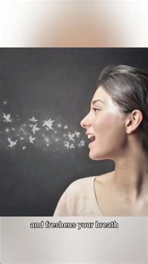 Stop Plaque From Damaging Your Smile