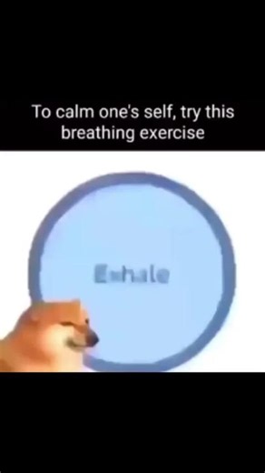 breathing exercises #meme #memes #fyp #funnyvideos #foryou #funny | breathing exercises