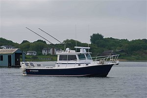 Steiger Craft 31 Miami