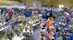 14 reactions | Videos Especiais gravados Grande amigo e colaborador...