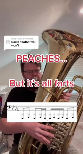 Replying to @Will Peaches but every note is a fart #fyp #tuba #mario #bowser