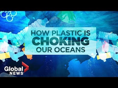 Plastic pollution crisis: How waste ends up in our oceans