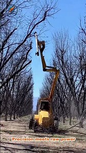Precision Tree Cutter Creates a Neat Row Through the Forest